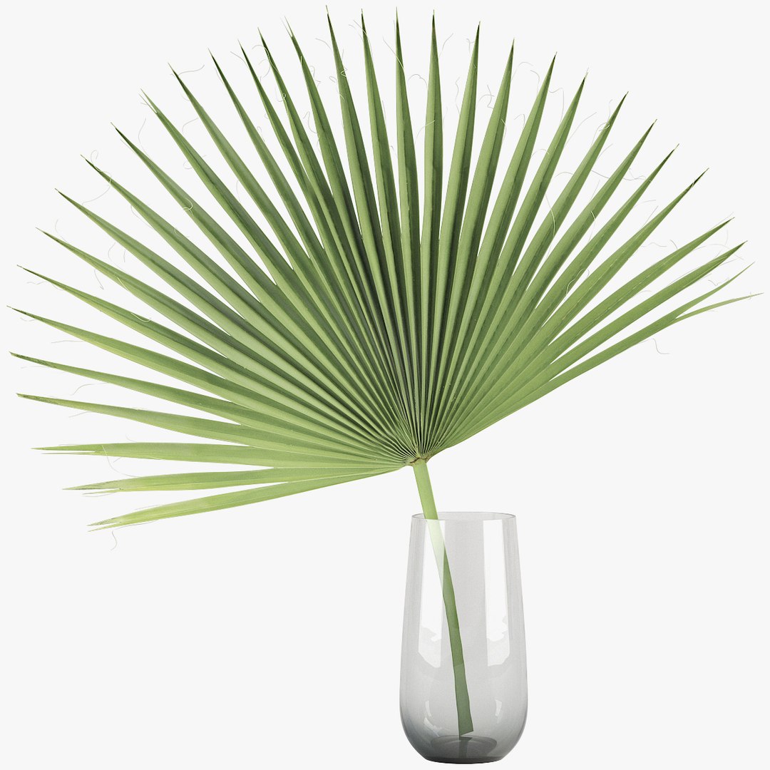 Palm model - TurboSquid 1630566