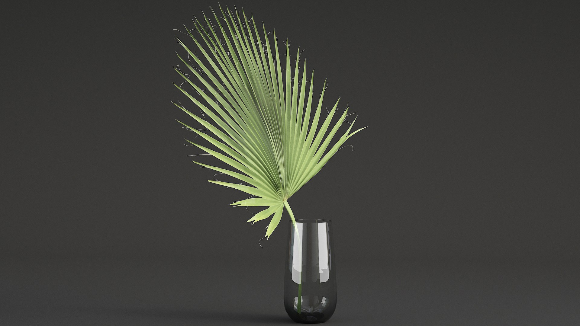 Palm Model - TurboSquid 1630566