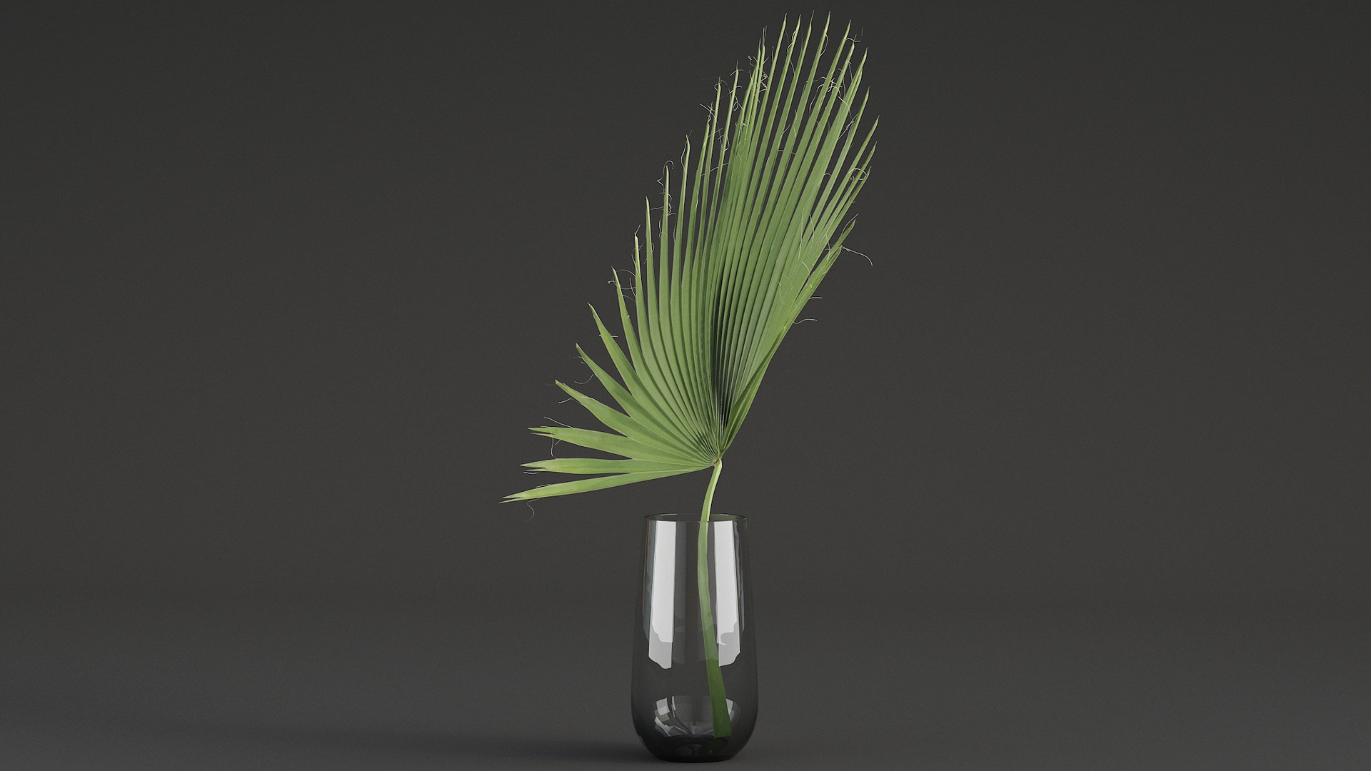 Palm Model - TurboSquid 1630566