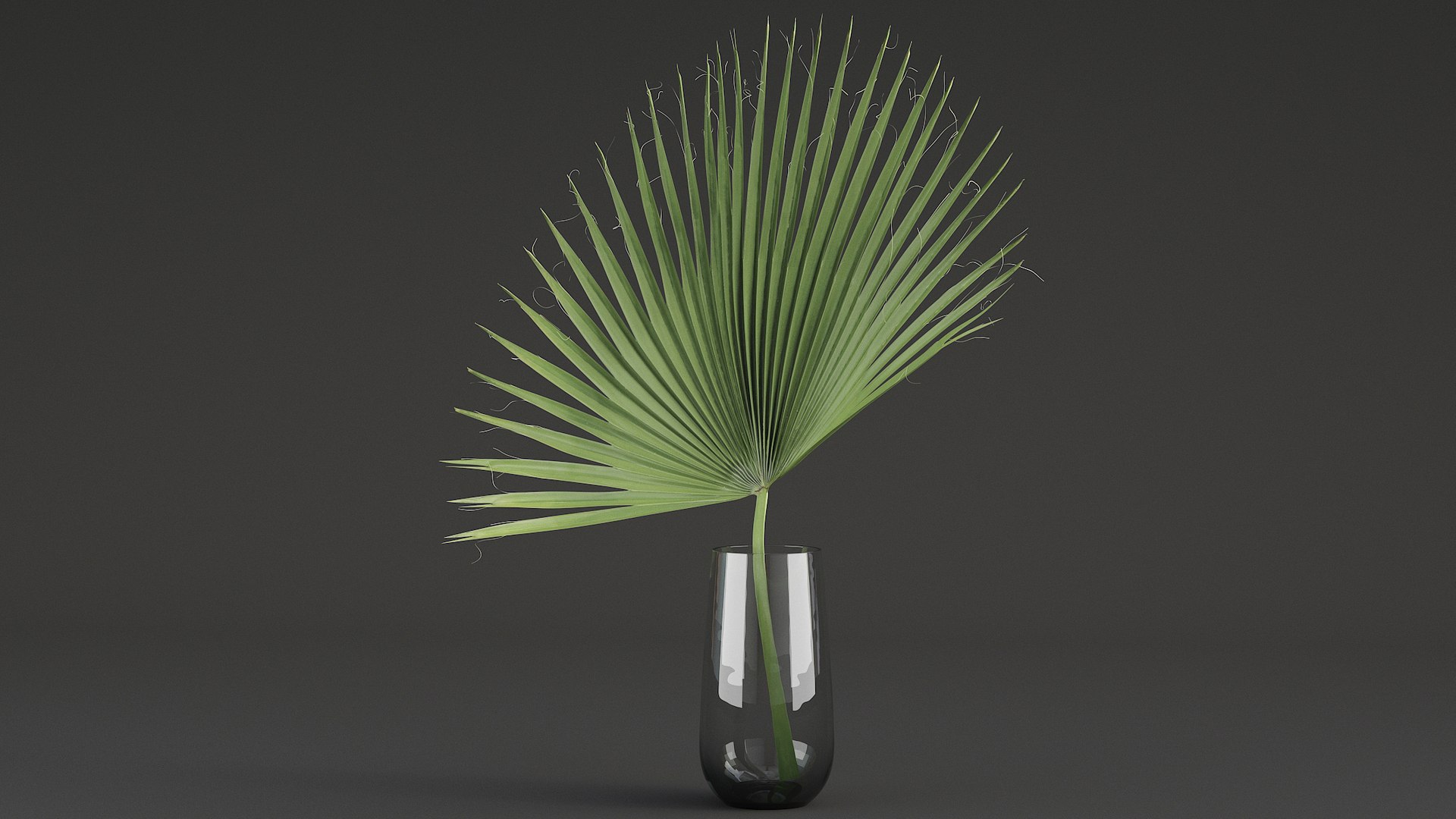 Palm Model - TurboSquid 1630566