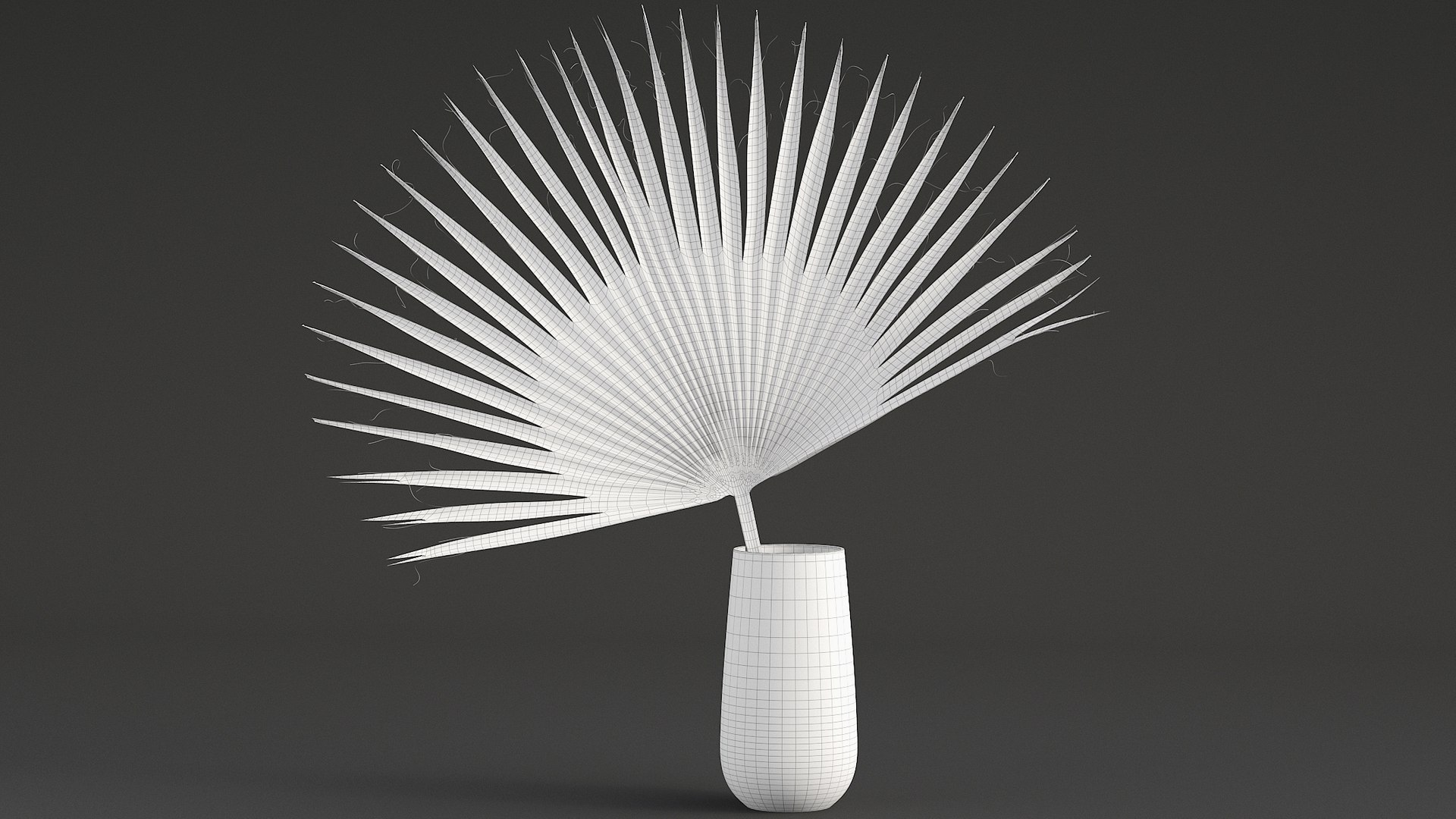 Palm Model - TurboSquid 1630566