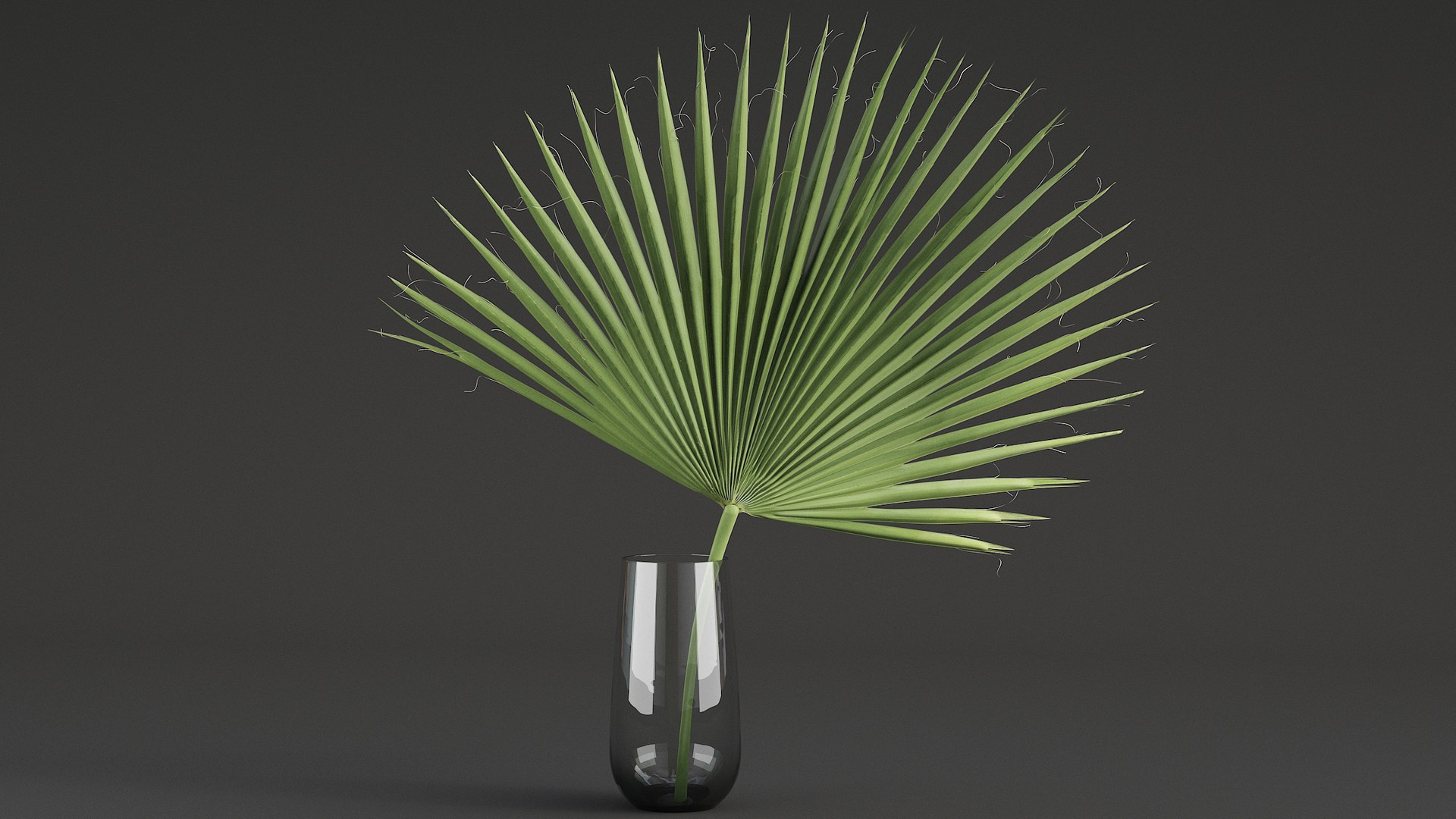 Palm Model - TurboSquid 1630566