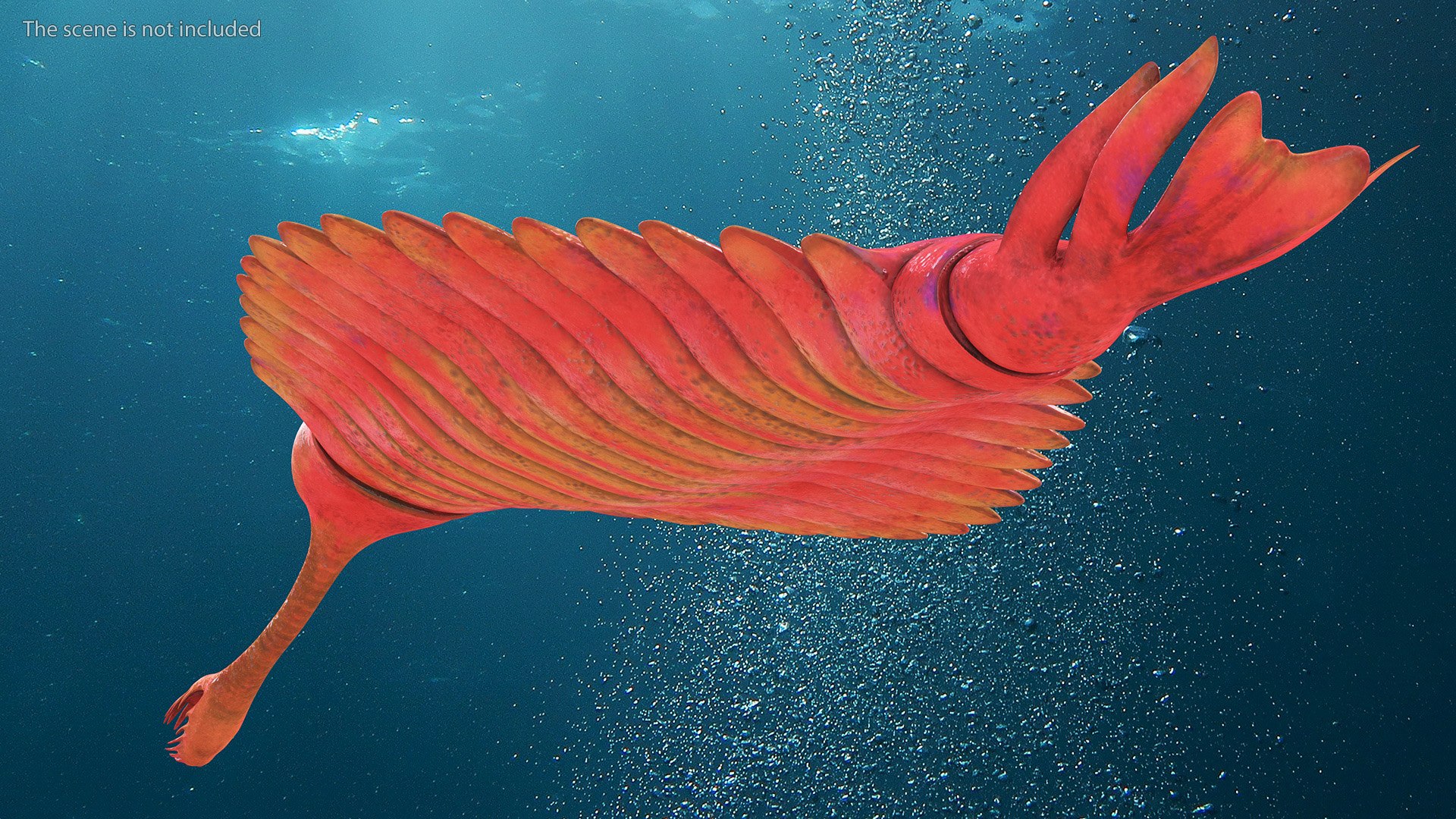 3D Pink Opabinia - TurboSquid 2177342
