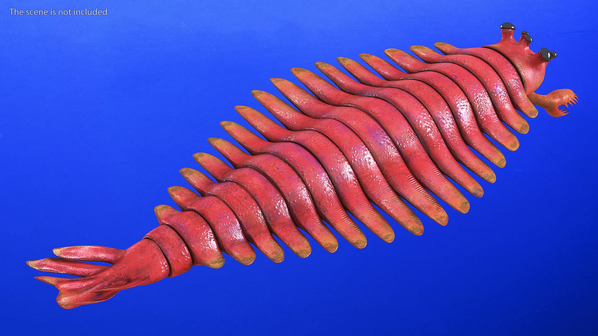 3D Pink Opabinia - TurboSquid 2177342