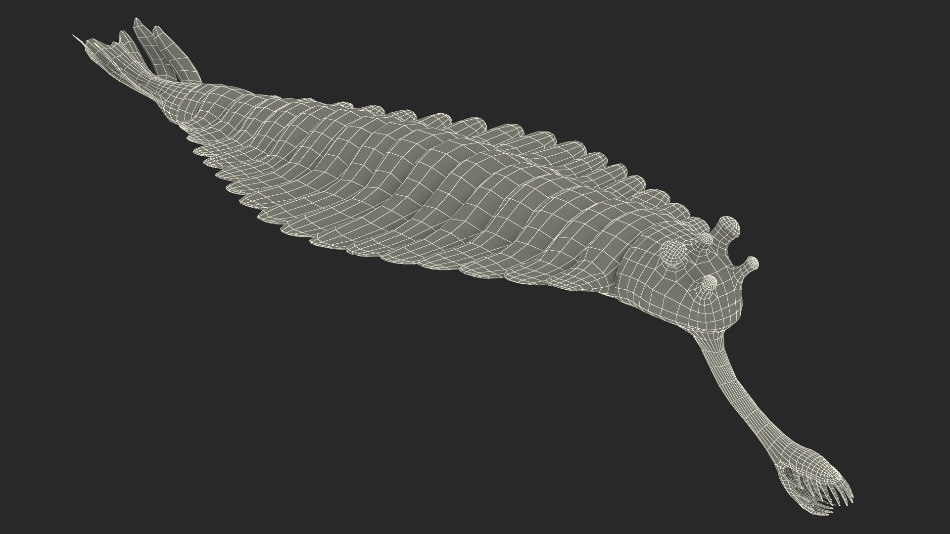 3D Pink Opabinia - TurboSquid 2177342