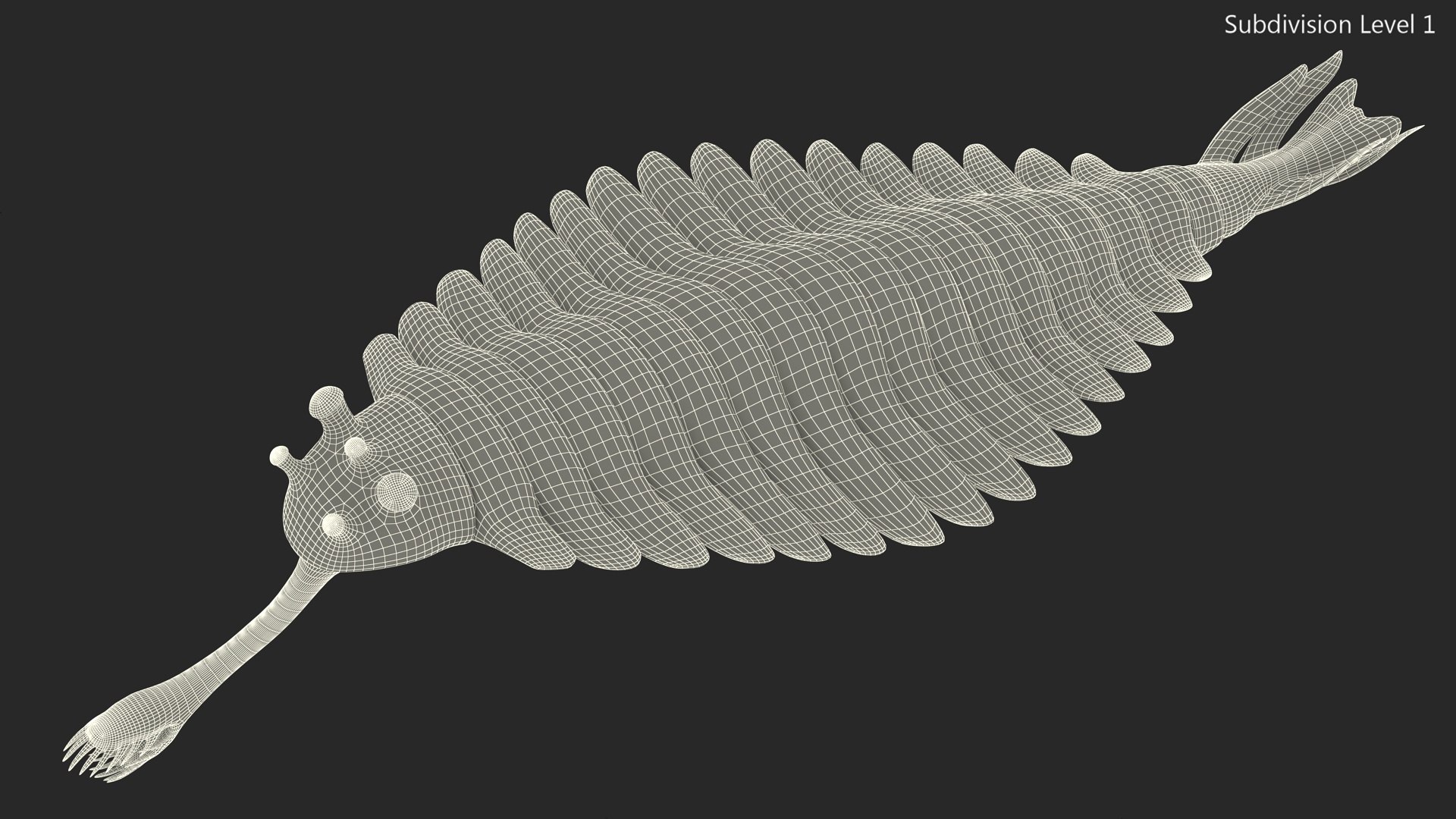 3D Pink Opabinia - TurboSquid 2177342