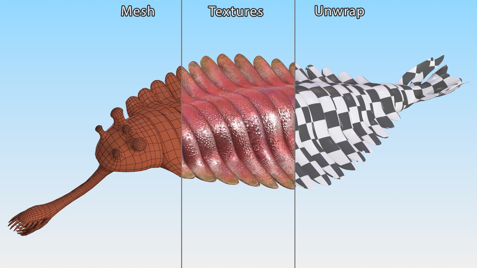 3D Pink Opabinia - TurboSquid 2177342