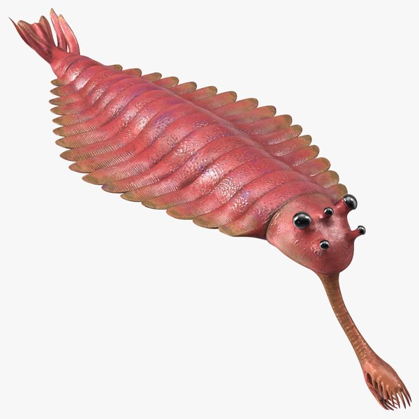 modelo 3d Opabinia rosa - TurboSquid 2177342