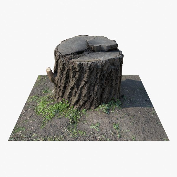 Tree Stump 3D Models for Download | TurboSquid