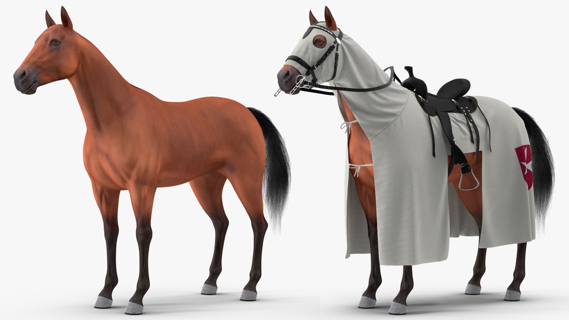 3D model Crusader Horse Armor with Knight Fur - TurboSquid 2128941