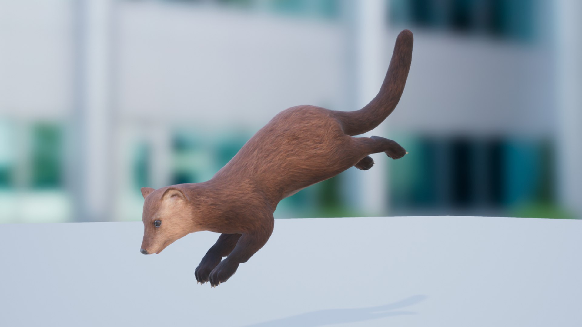 3D Pack of small animals model - TurboSquid 2178364