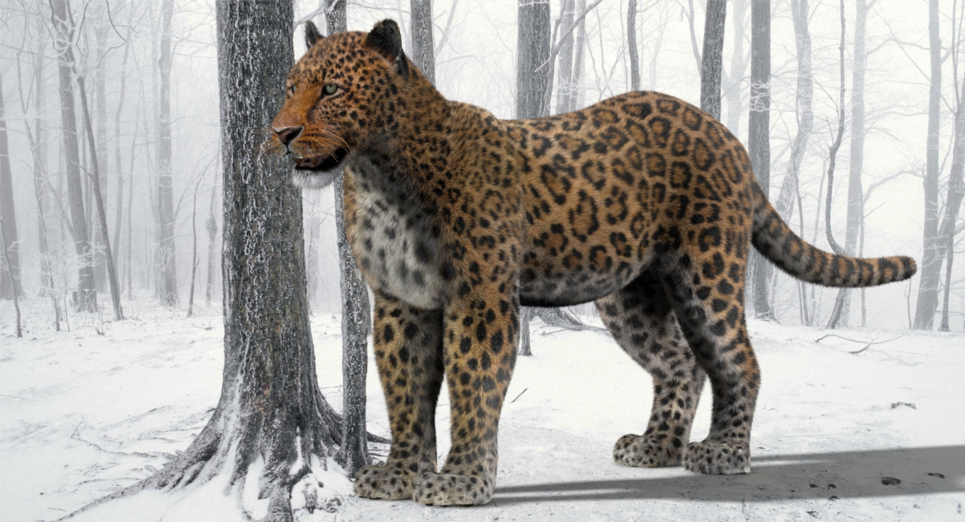 3d leopard fur