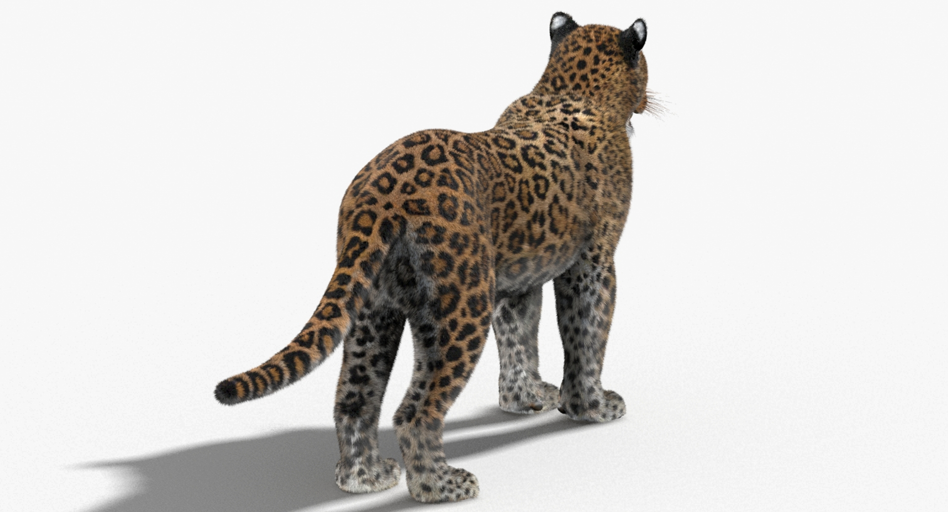 3d leopard fur
