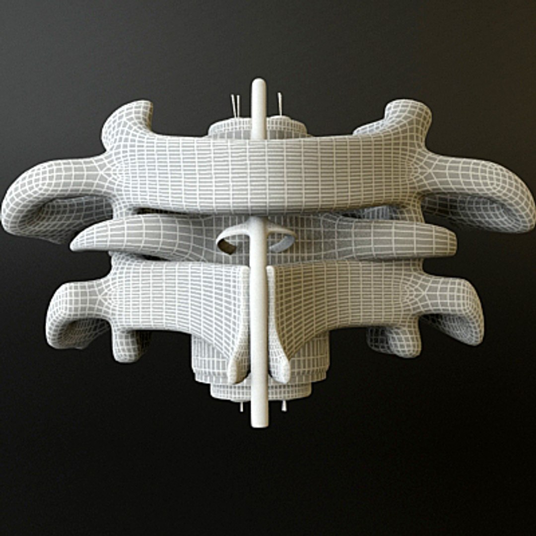 3ds max c1 c2 vertebrae