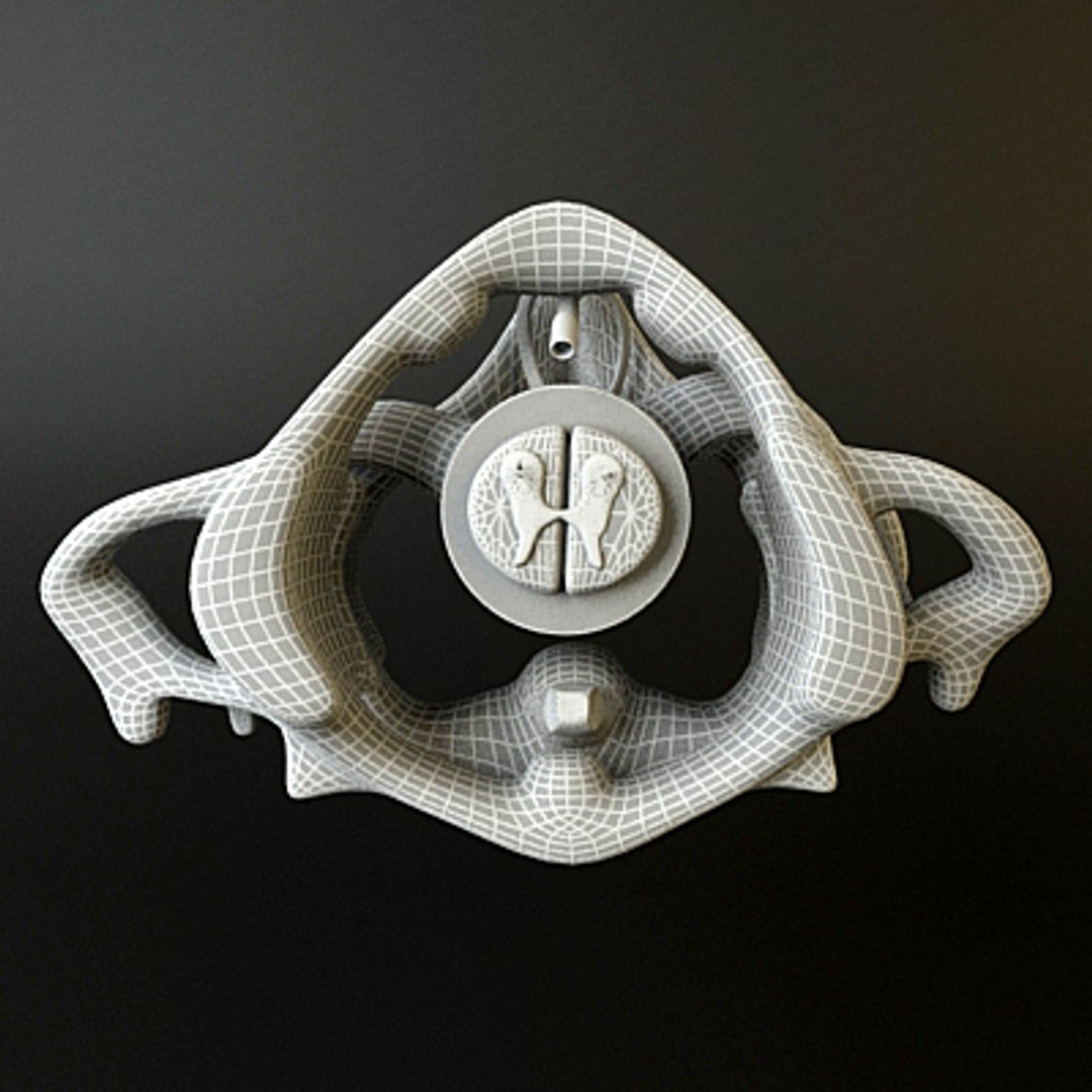 3ds max c1 c2 vertebrae