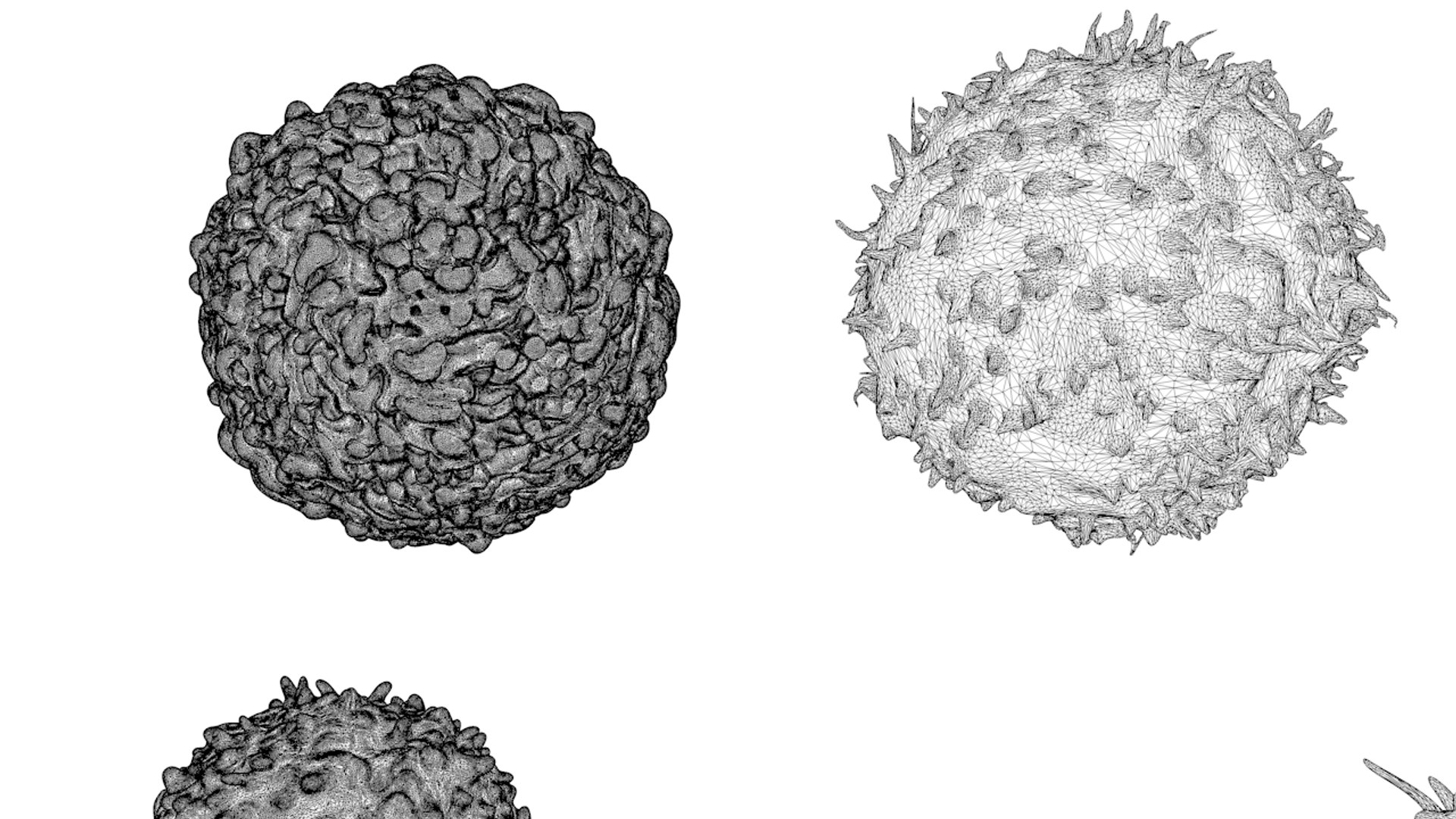 3D model lymphocytes pack - TurboSquid 1519768