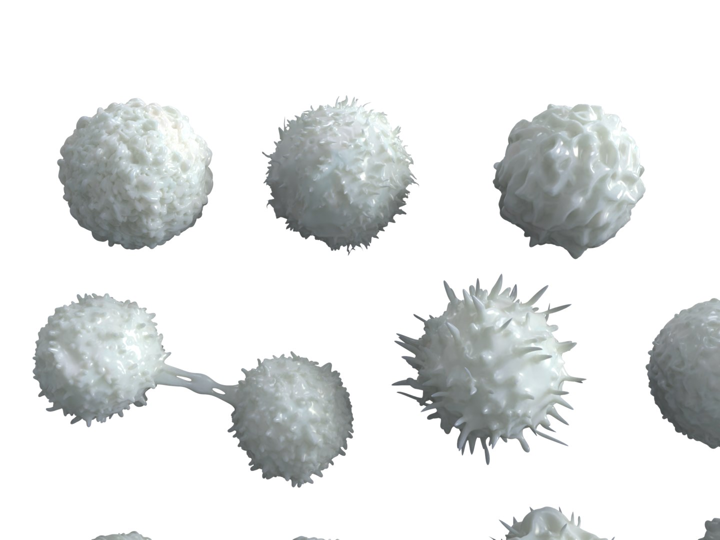 3D model lymphocytes pack - TurboSquid 1519768
