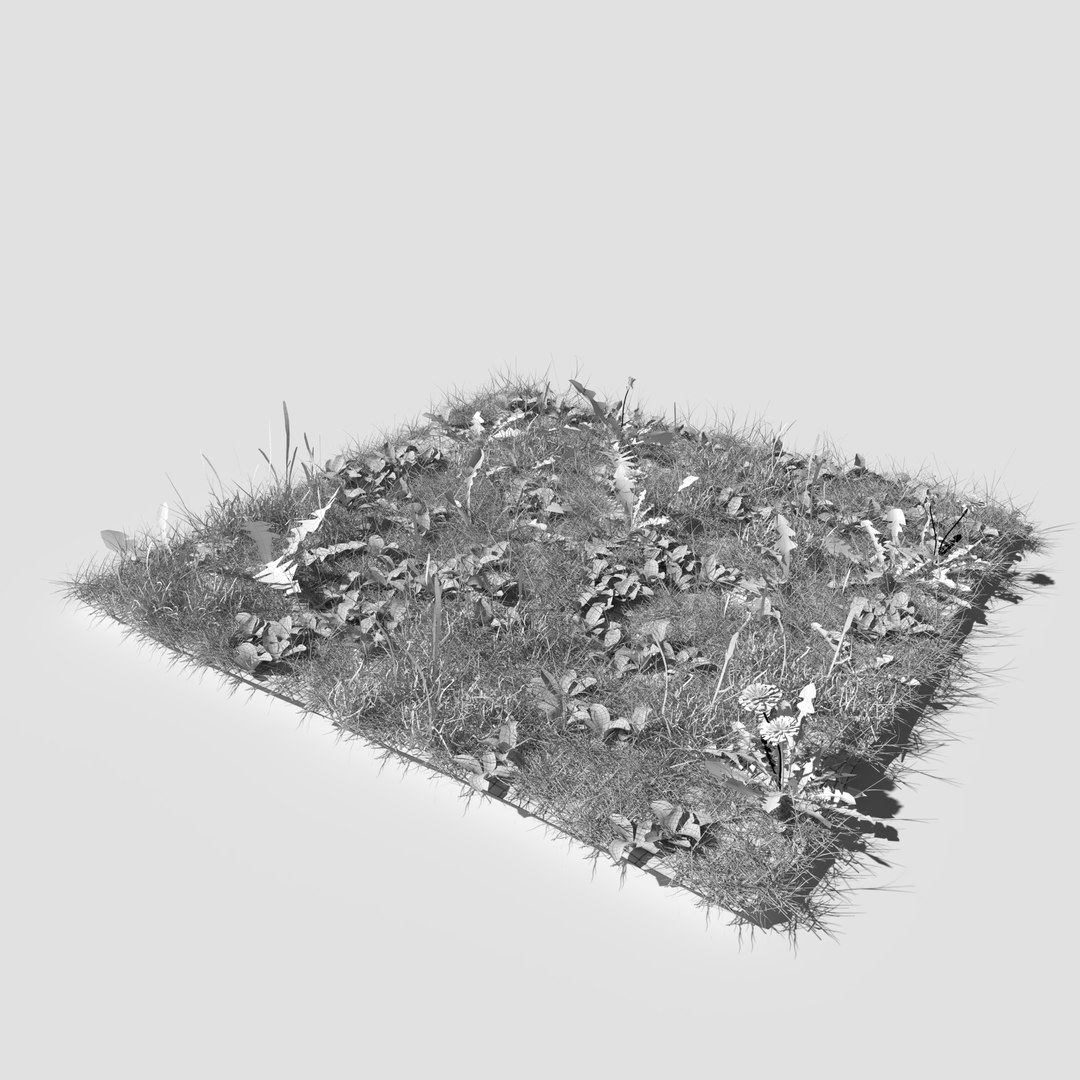 Pbr Bloodwort Meadow Patch Model - TurboSquid 1512710