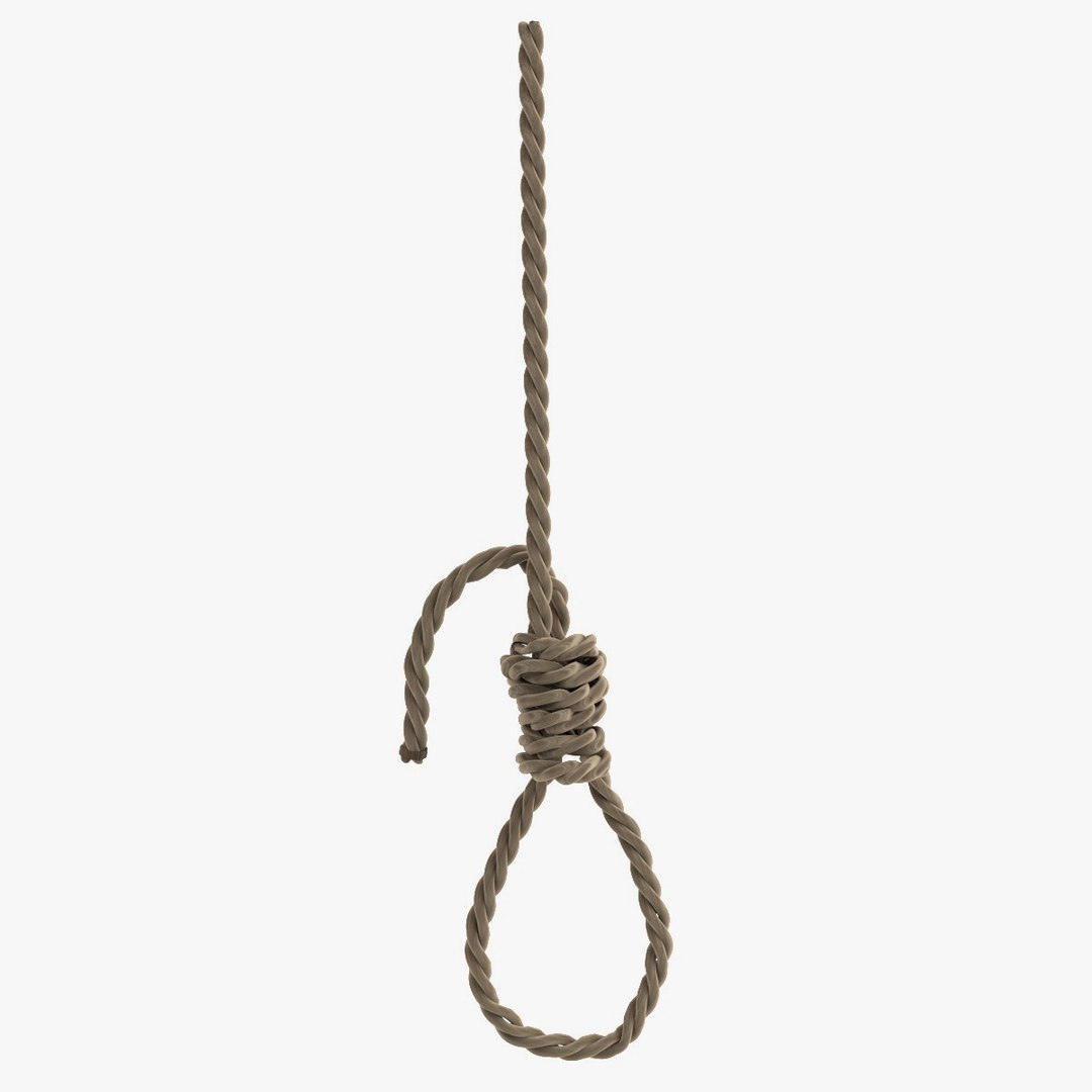 3d rope rig