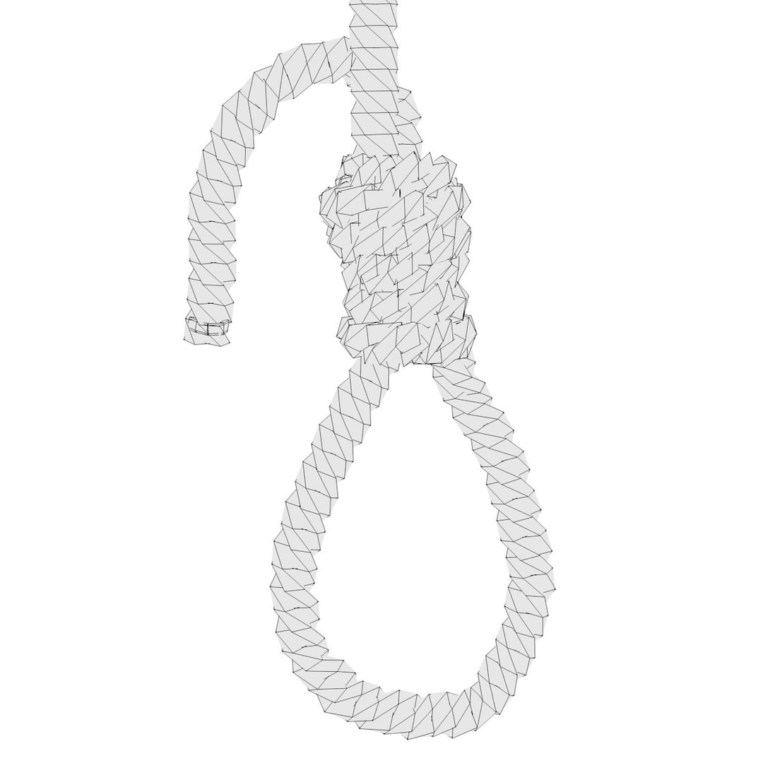 3d Rope Rig