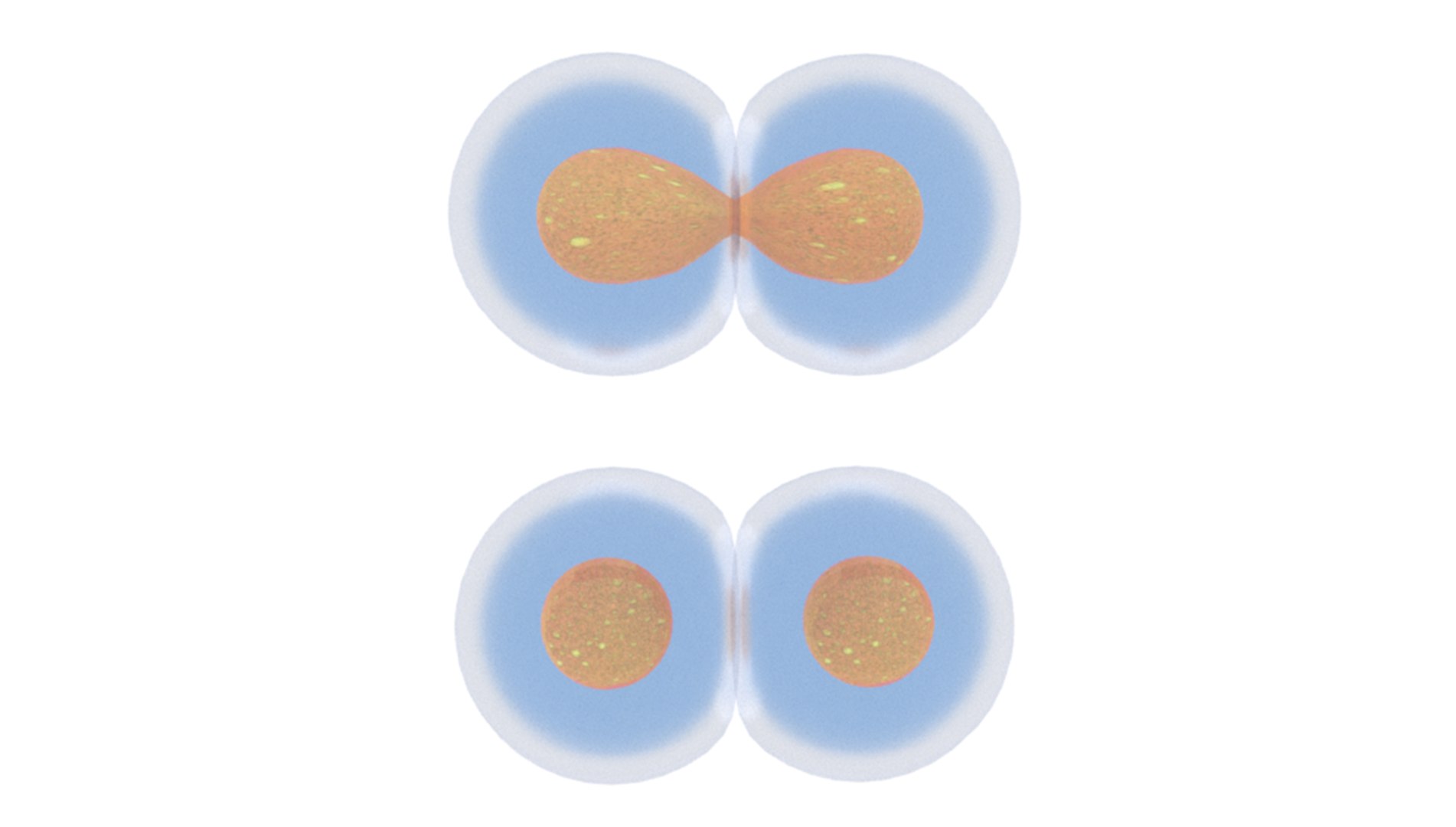 Cell Division 3D model - TurboSquid 2049250