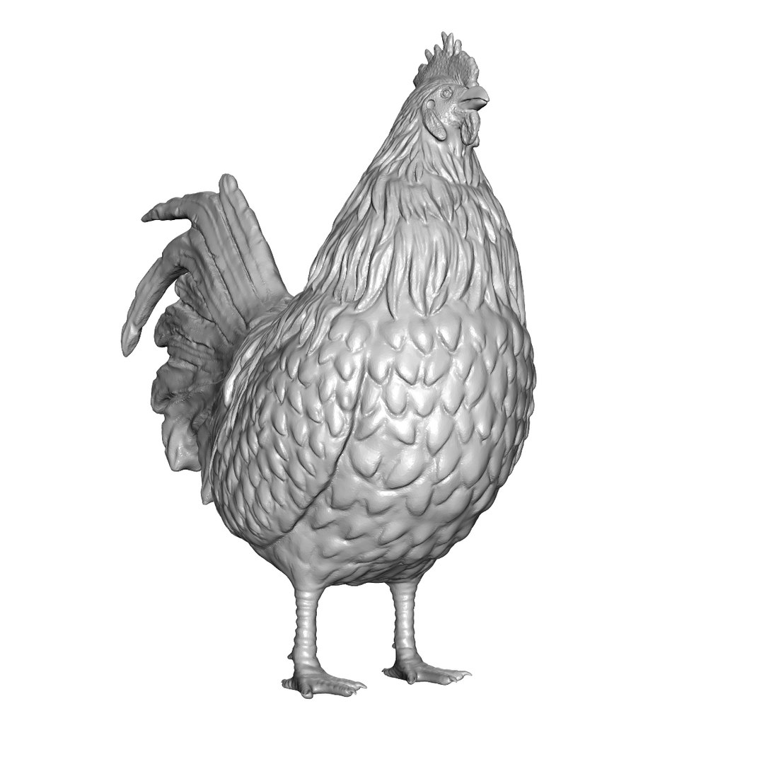 3d Model Chicken Print Cnc