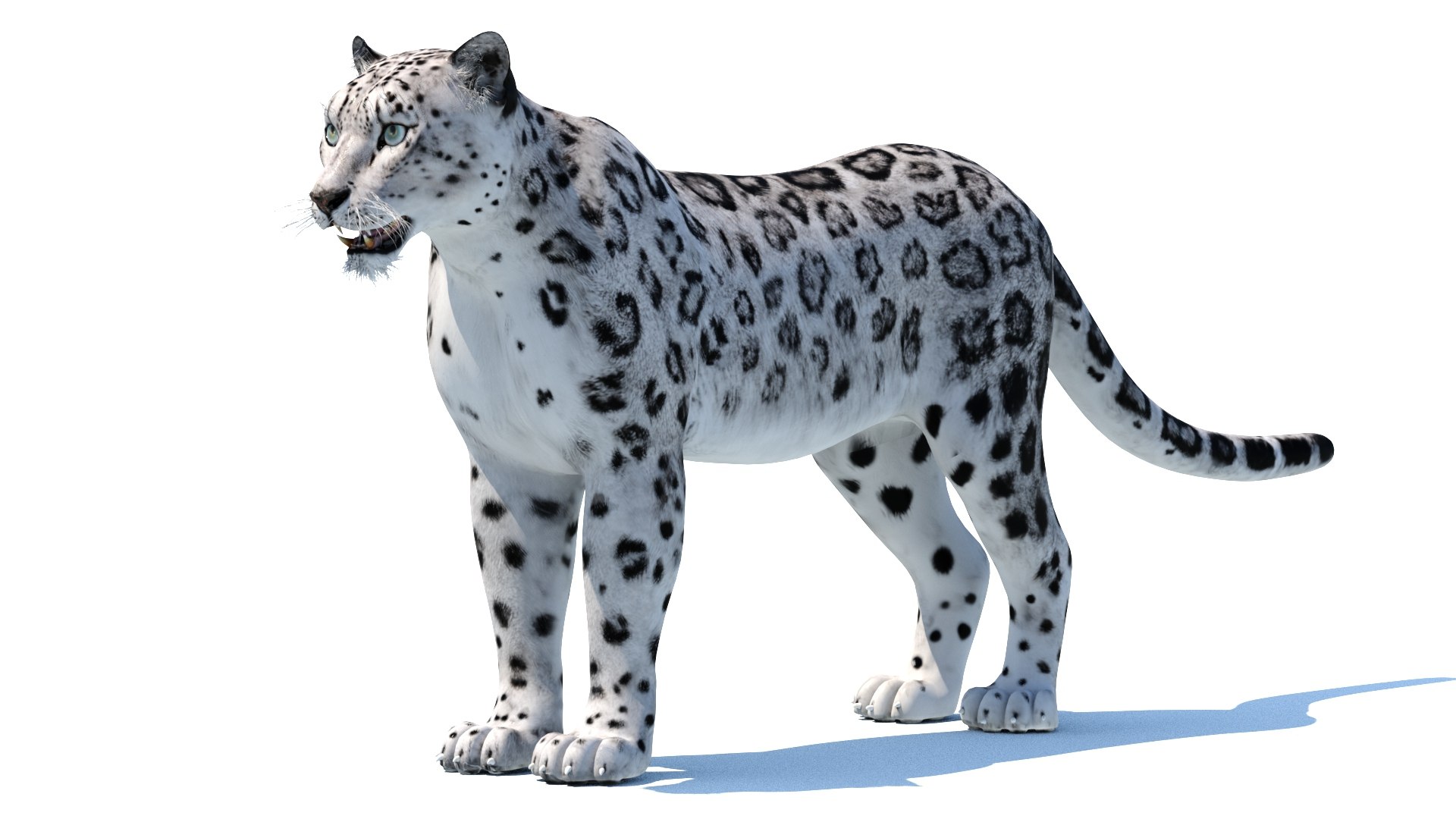 Snow Leopard Max