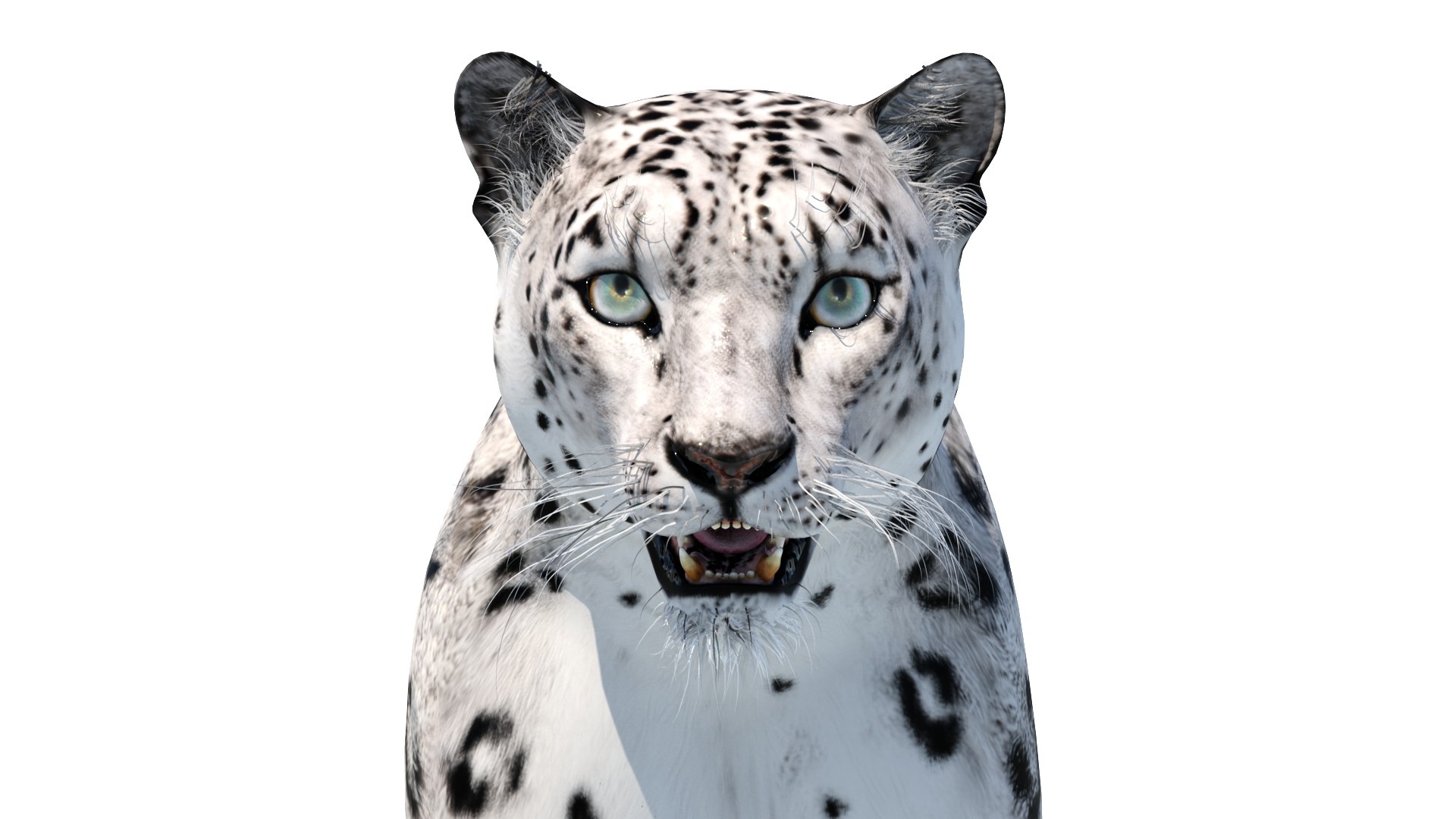 Snow Leopard Max