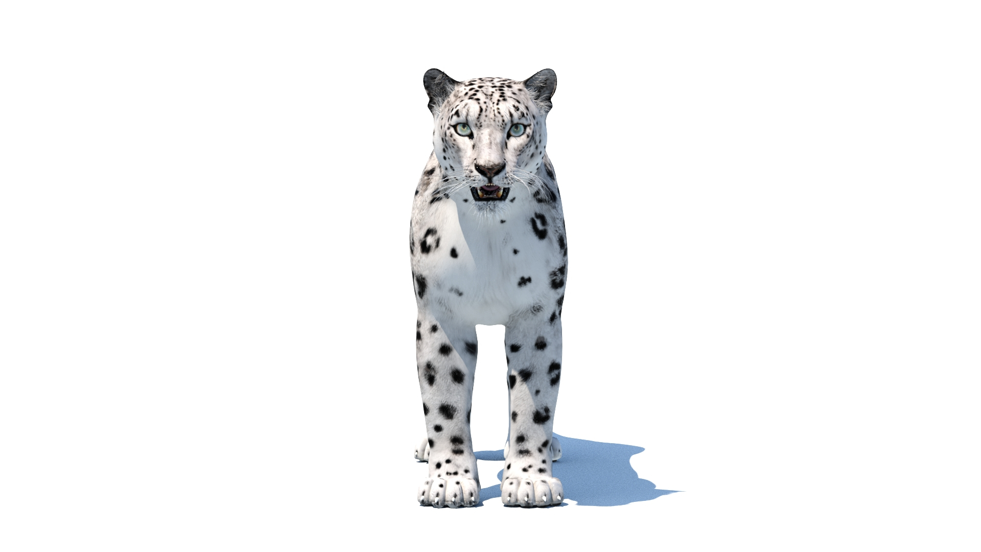 Snow Leopard Max