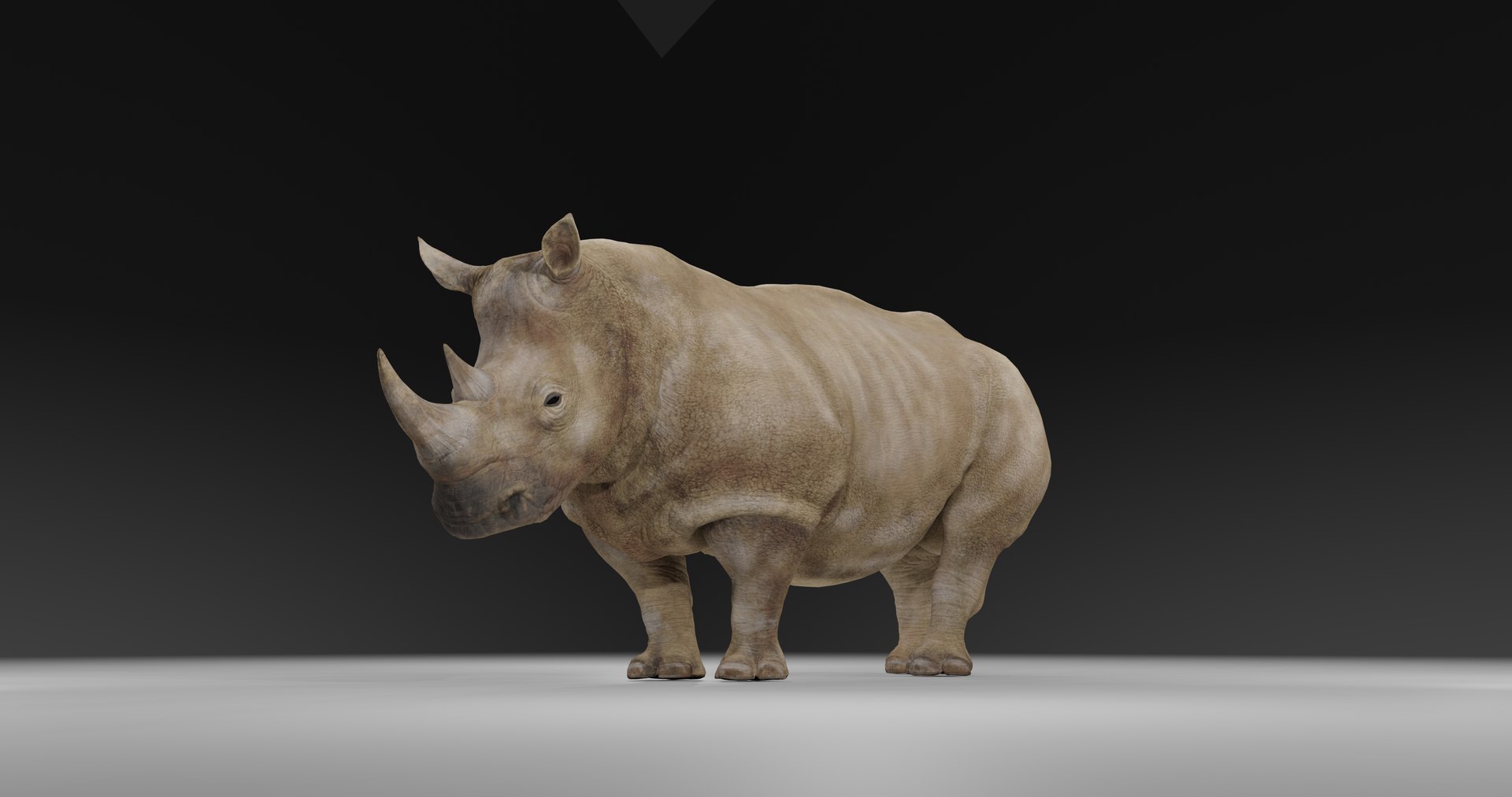 Realistic Animated Grey Rhino 3D model 3D model - TurboSquid 2182184