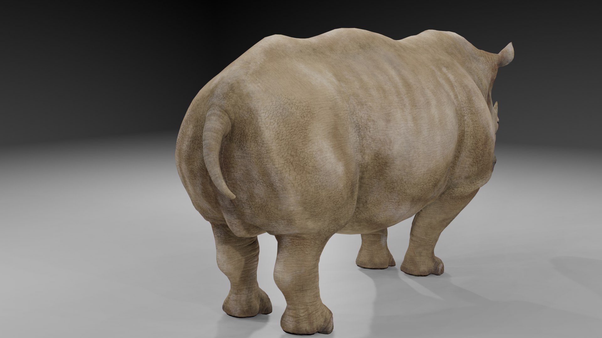 Realistic Animated Grey Rhino 3D model 3D model - TurboSquid 2182184