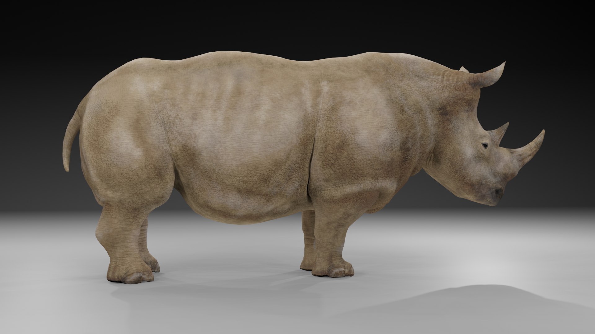 Realistic Animated Grey Rhino 3D model 3D model - TurboSquid 2182184
