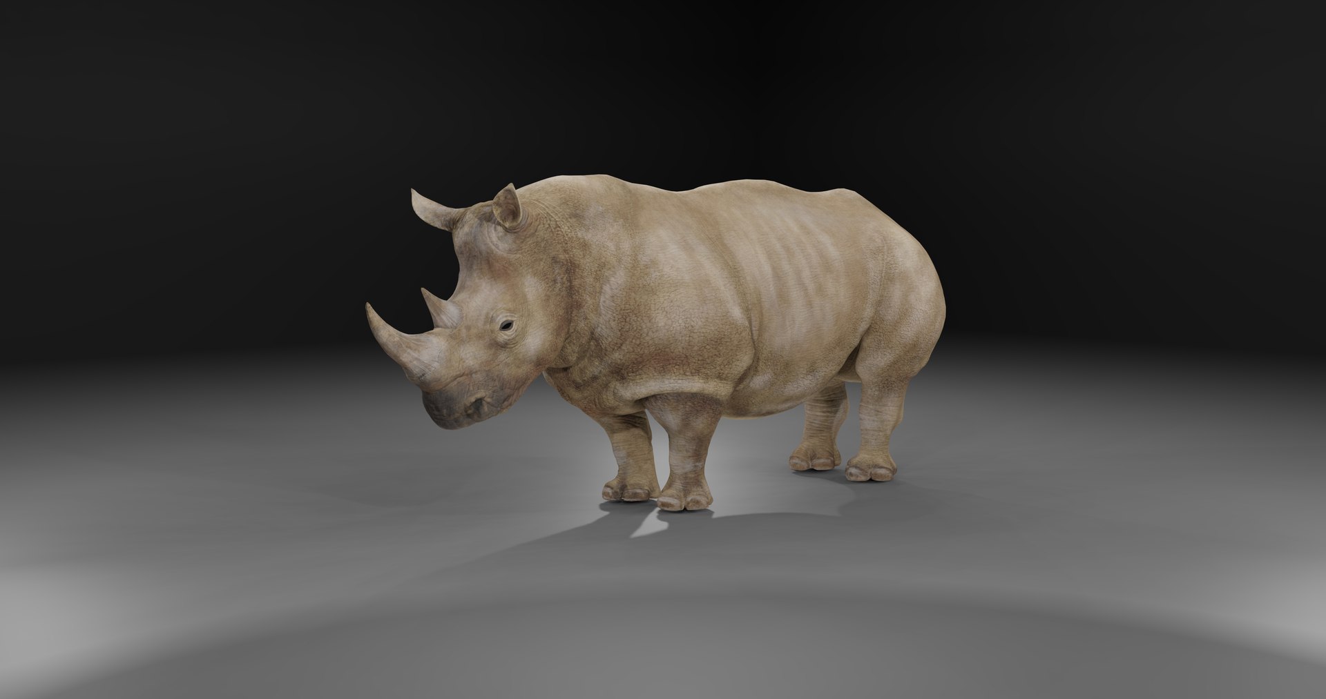 Realistic Animated Grey Rhino 3D model 3D model - TurboSquid 2182184