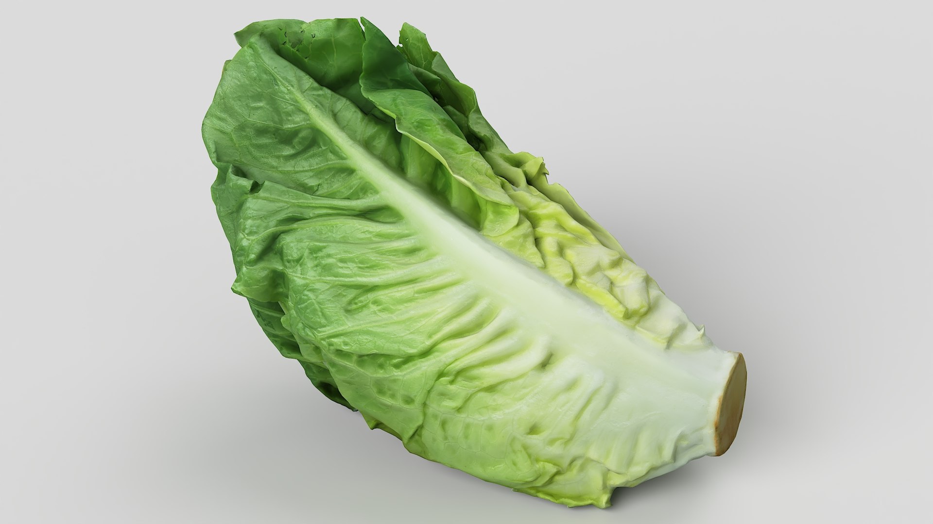 3D Model Salad Collection 12 - TurboSquid 2164643