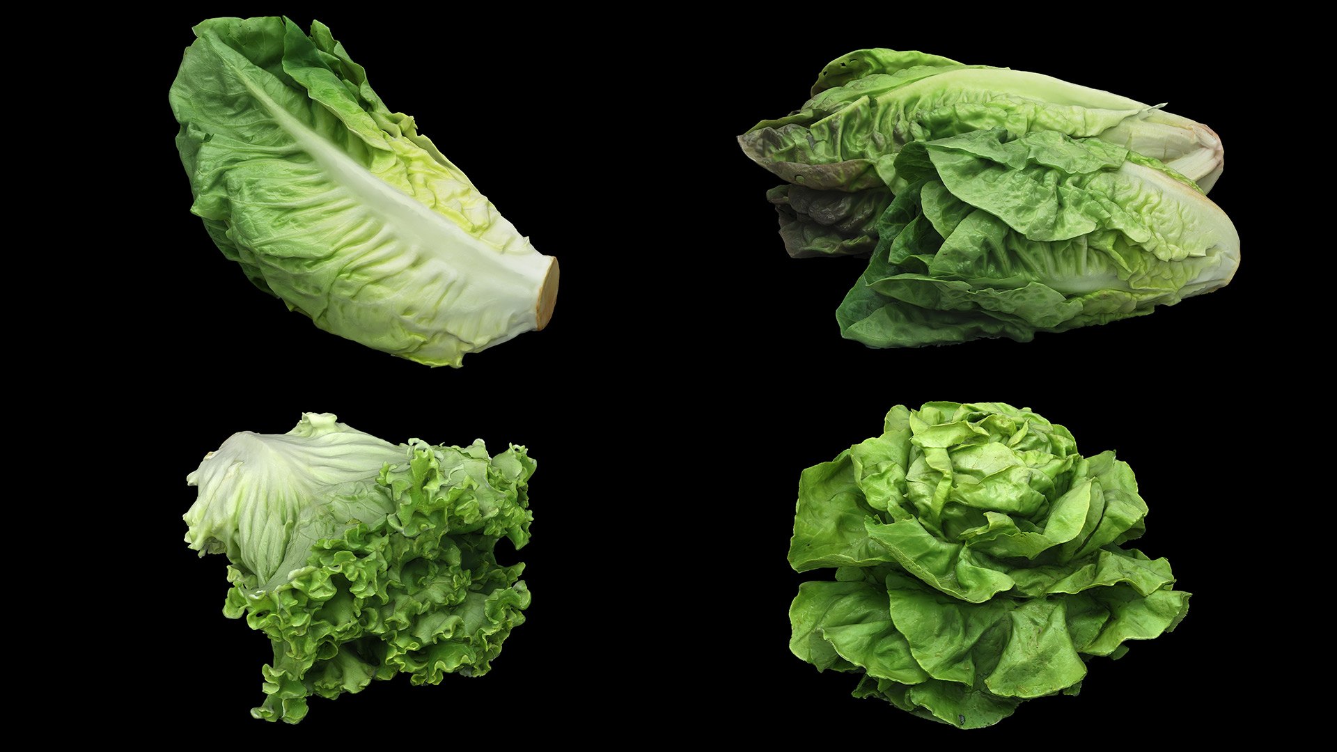 3D model Salad Collection 12 - TurboSquid 2164643