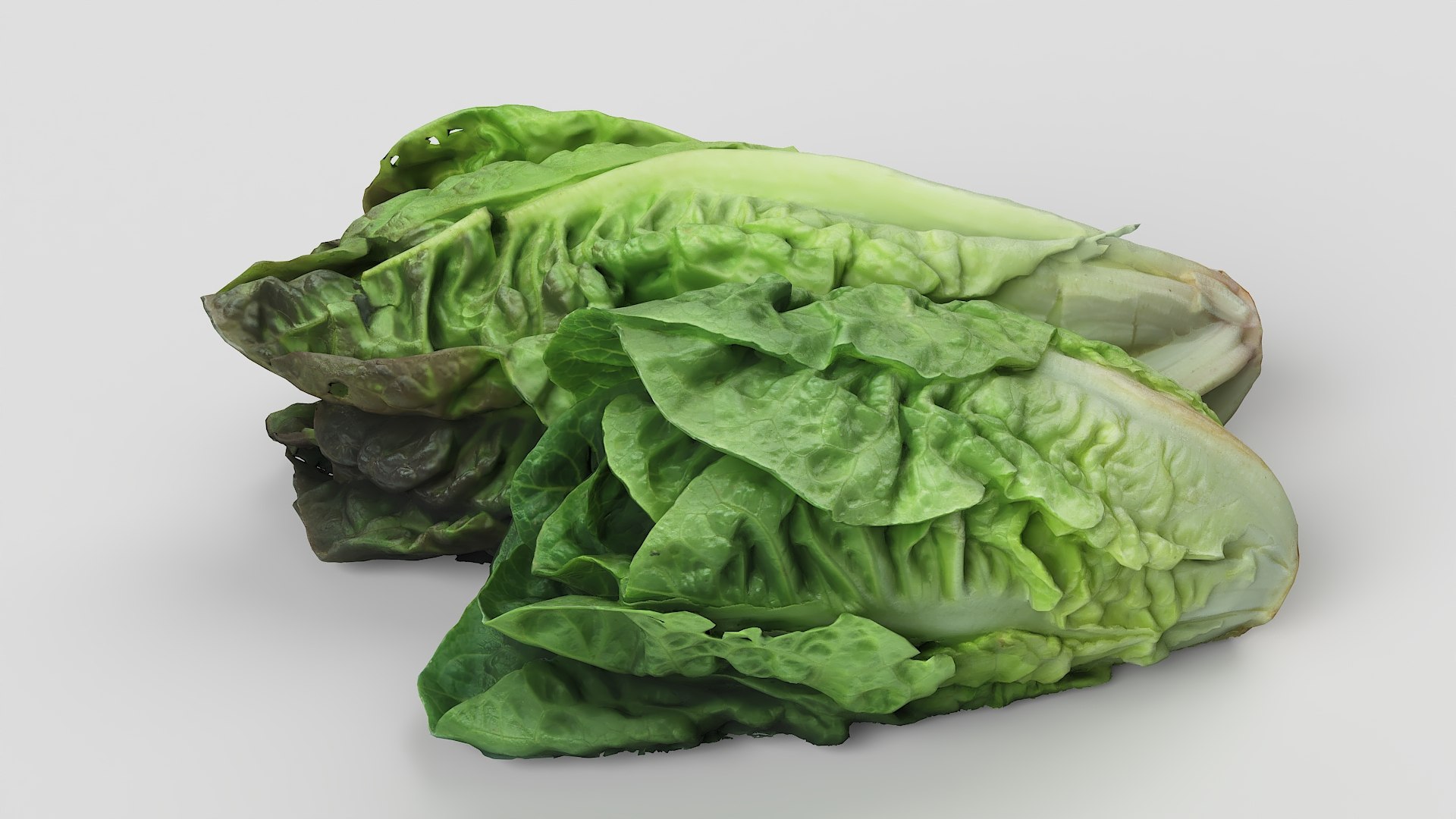 3D Model Salad Collection 12 - TurboSquid 2164643