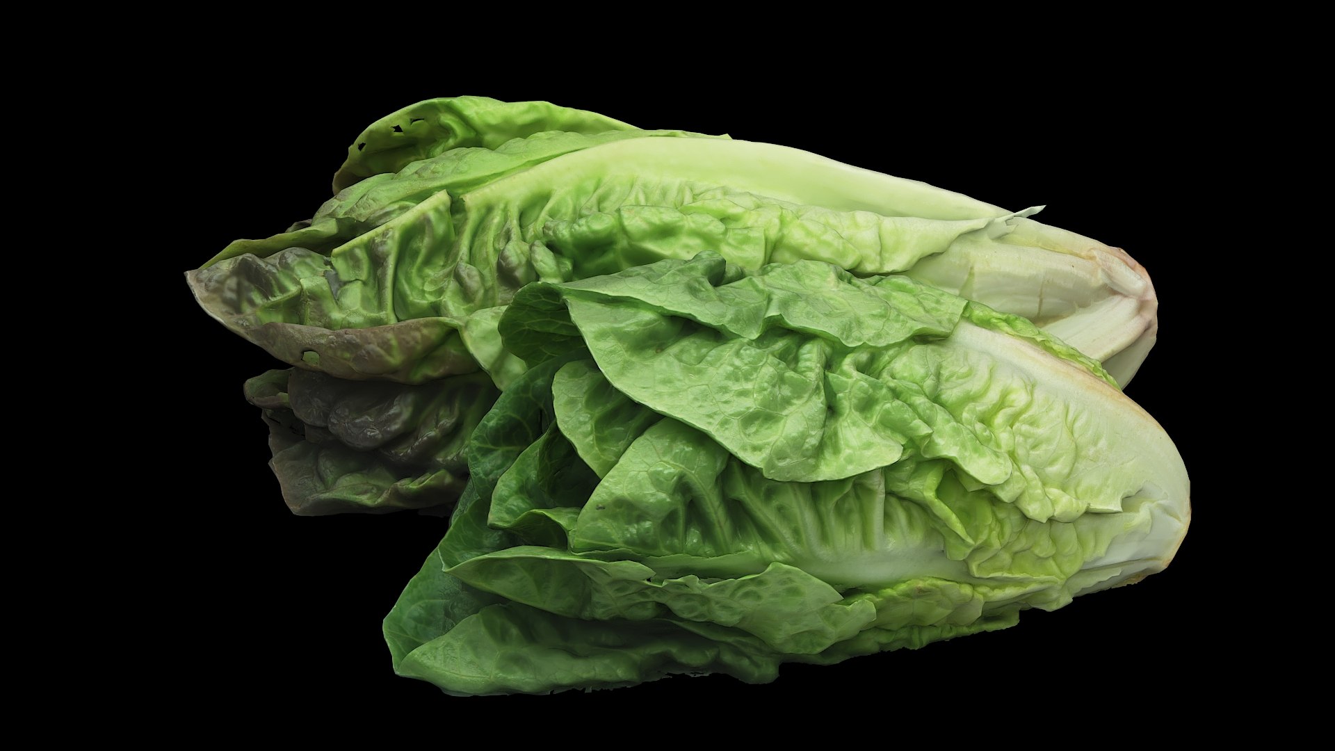 3D Model Salad Collection 12 - TurboSquid 2164643