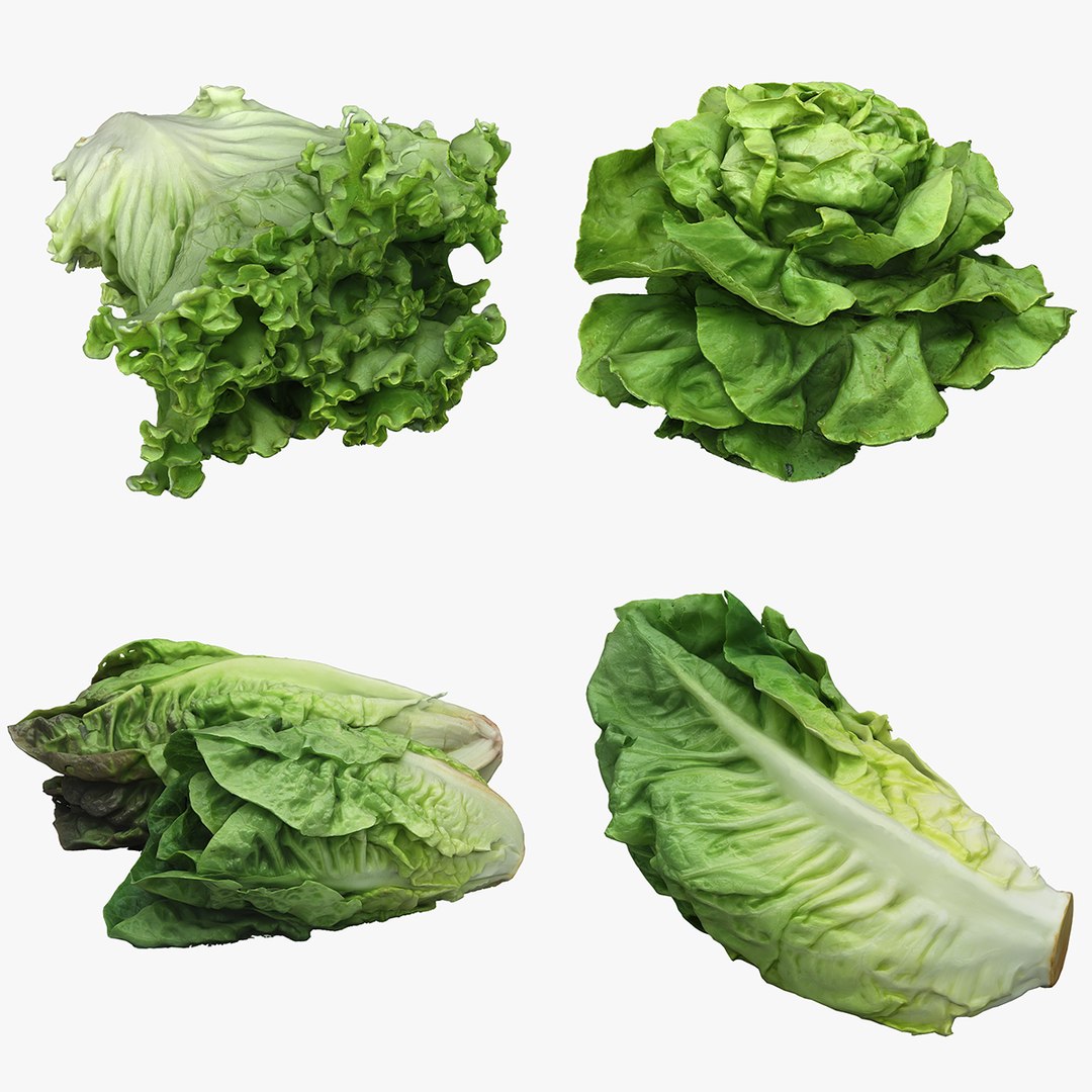 3D Model Salad Collection 12 - TurboSquid 2164643