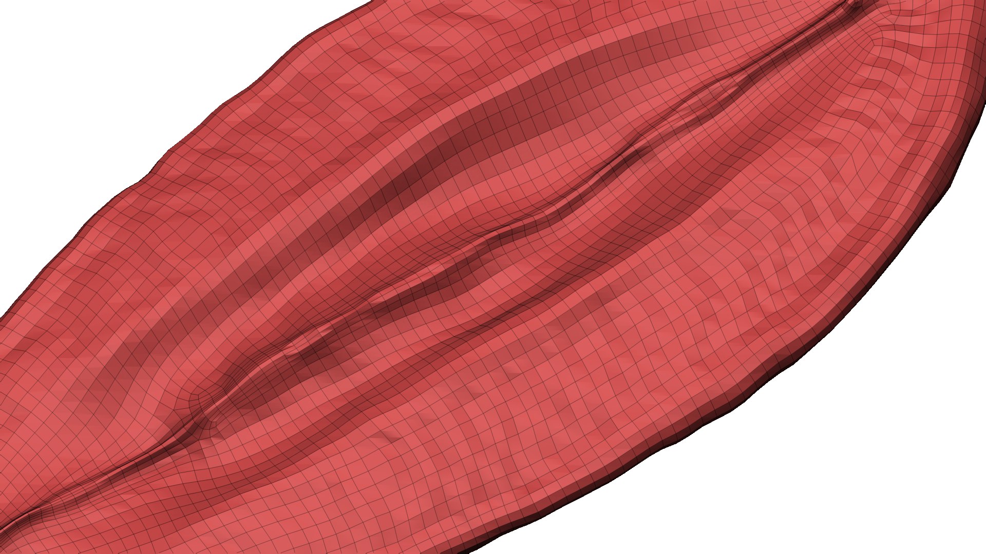 3D Diatom Photosynthetic Single- Celled Algae - TurboSquid 2067572