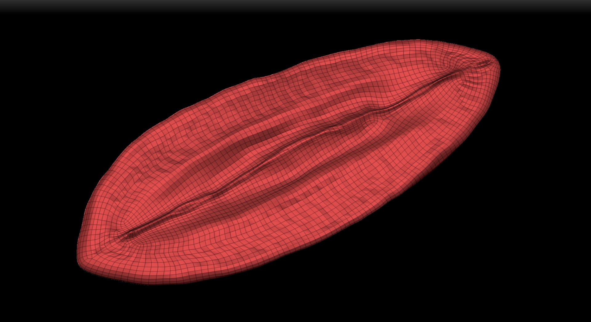 3D Diatom Photosynthetic Single- Celled Algae - TurboSquid 2067572