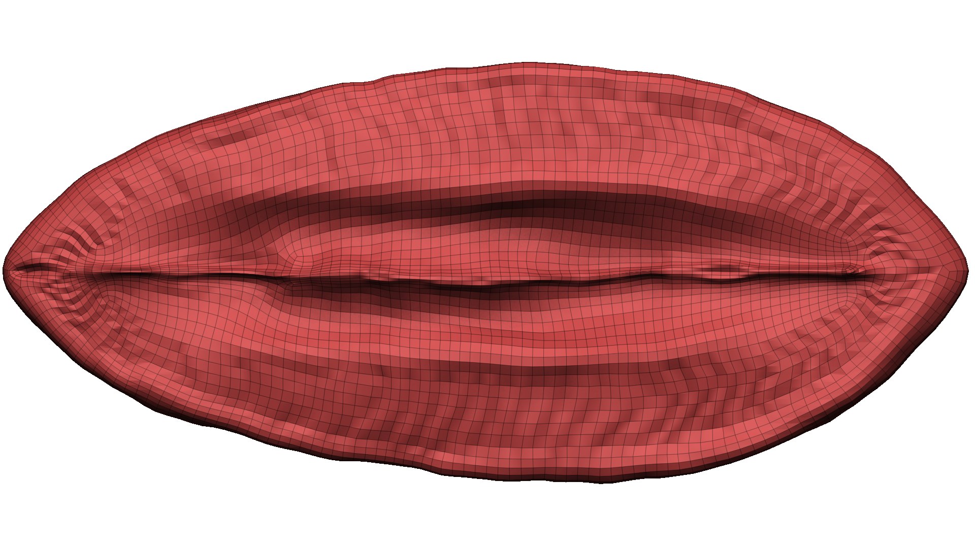 3D Diatom Photosynthetic Single- Celled Algae - TurboSquid 2067572