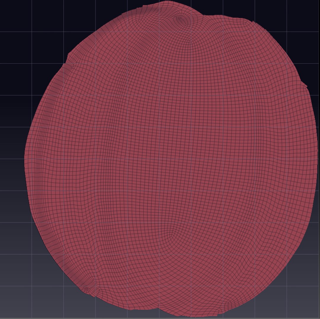 3D Diatom Photosynthetic Single- Celled Algae - TurboSquid 2067572