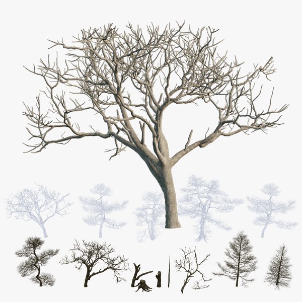 3D pack pine trees nature model - TurboSquid 1456019