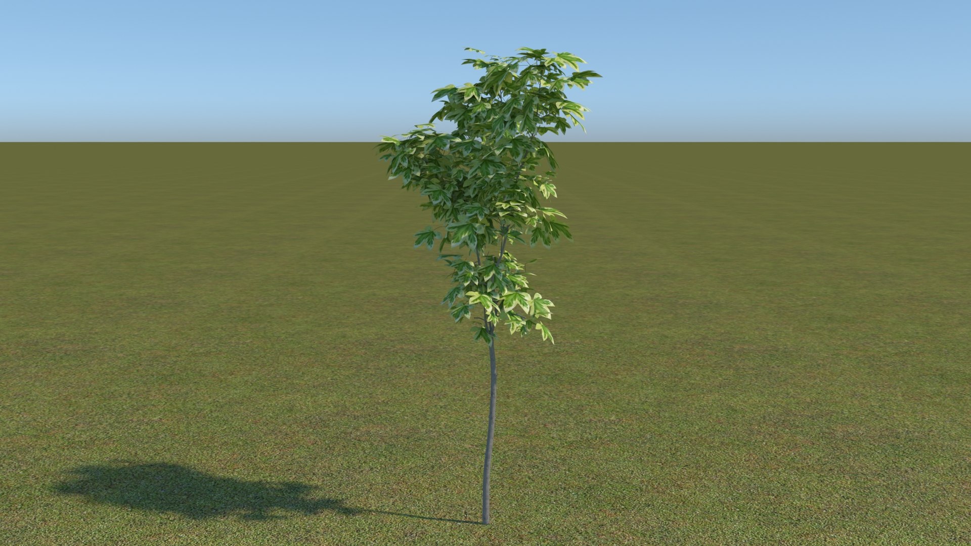 Trees Plants 3D Model - TurboSquid 1476775