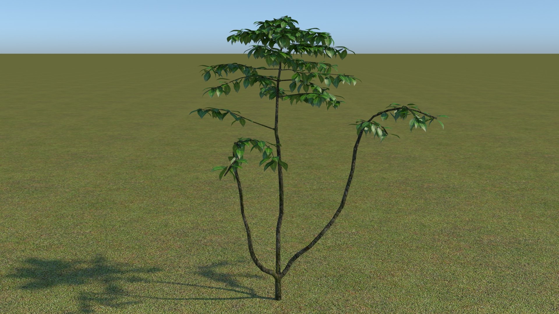 Trees Plants 3D Model - TurboSquid 1476775