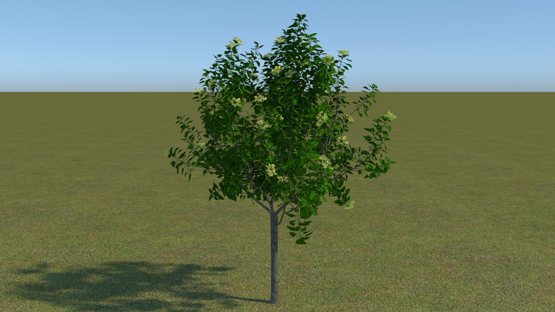 Trees Plants 3D Model - TurboSquid 1476775
