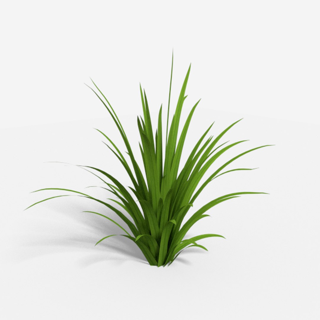grass 3d model