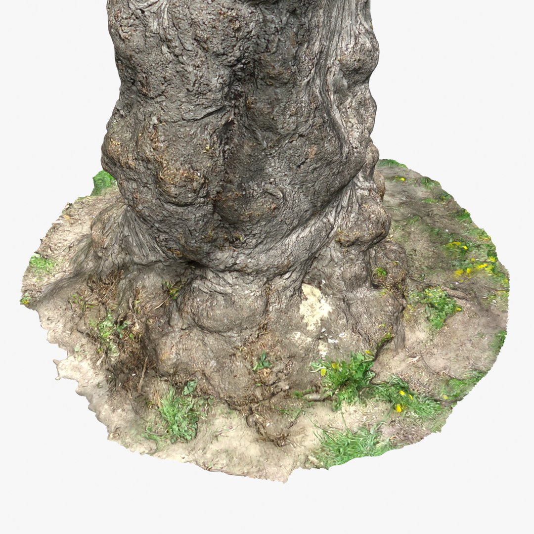 3d model tree stump 13