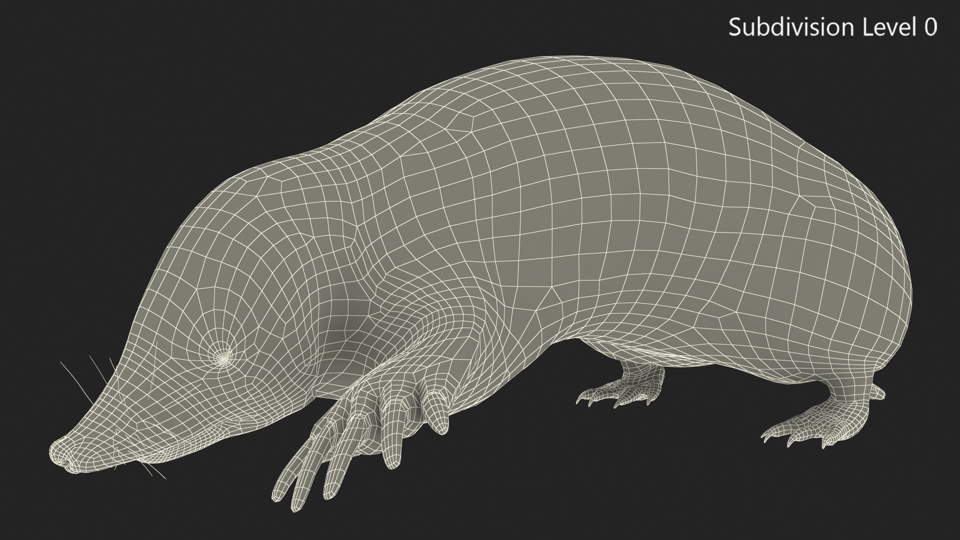 3D Model Realistic Mole Animal Fur - TurboSquid 2220594