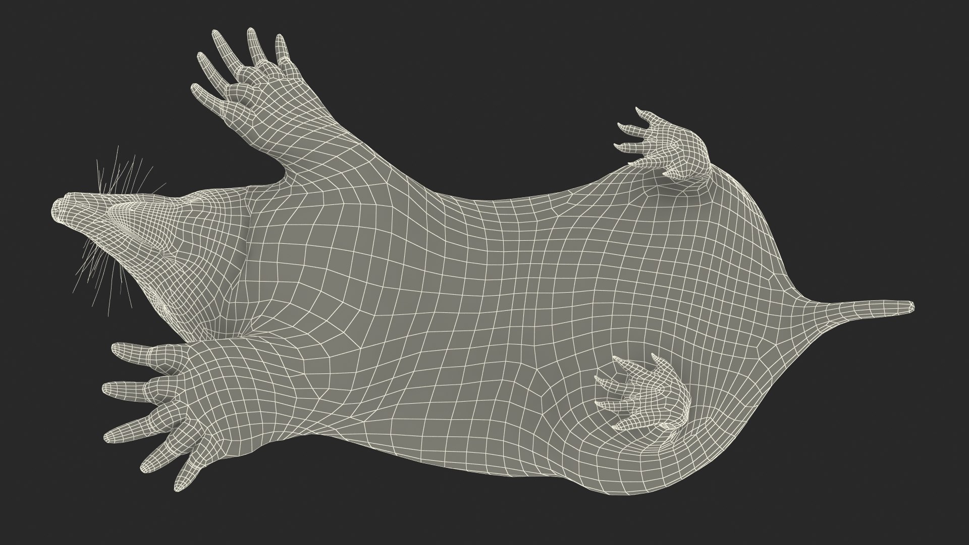 3D Model Realistic Mole Animal Fur - TurboSquid 2220594